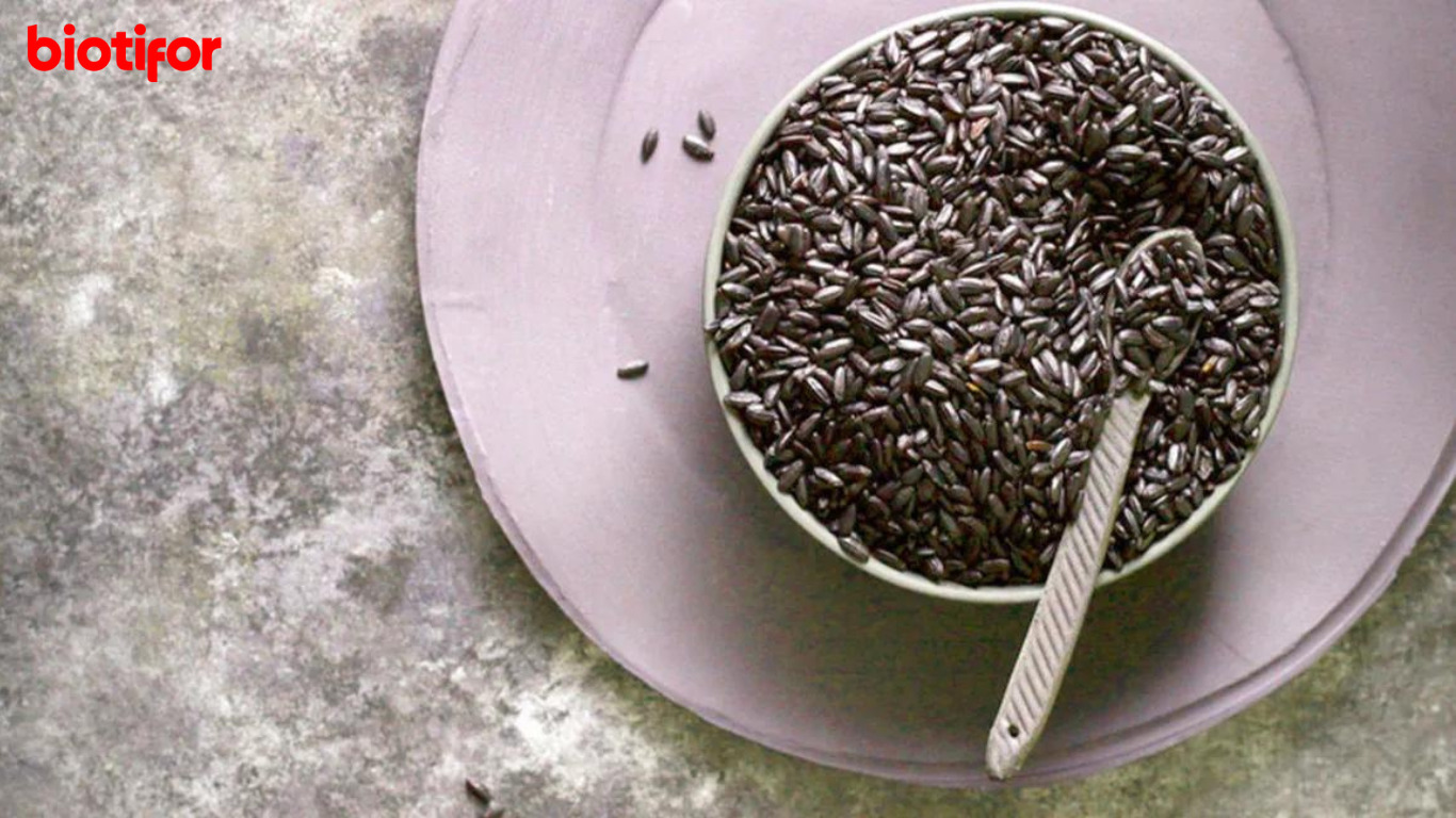 Manfaat Beras Hitam: Keajaiban Kesehatan yang Tersembunyi - Biotifor