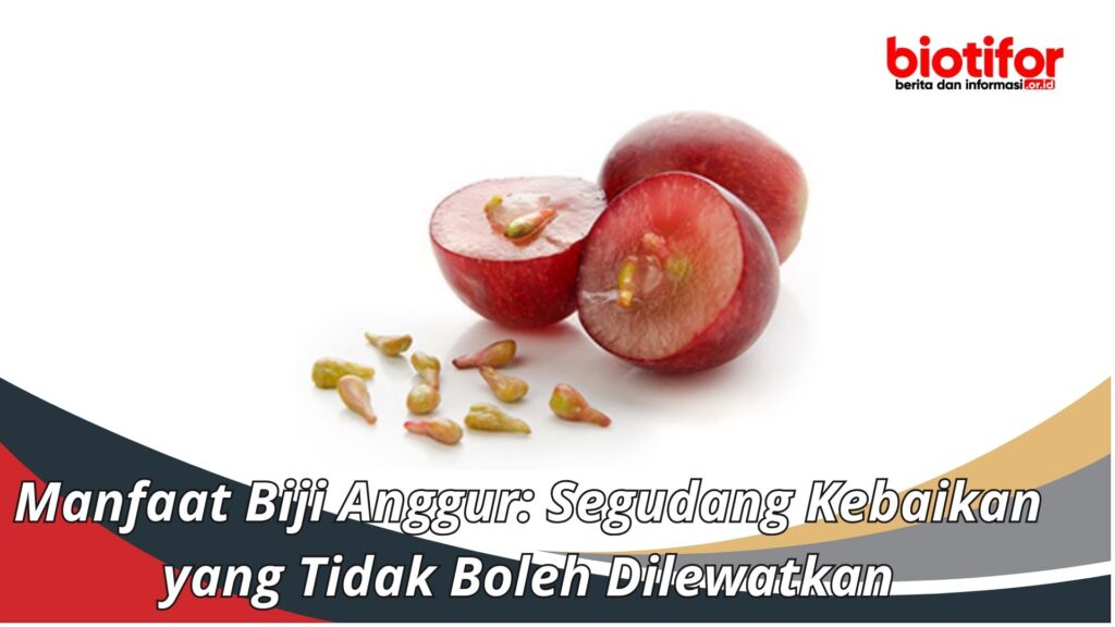 Manfaat Biji Anggur: Segudang Kebaikan yang Tidak Boleh Dilewatkan