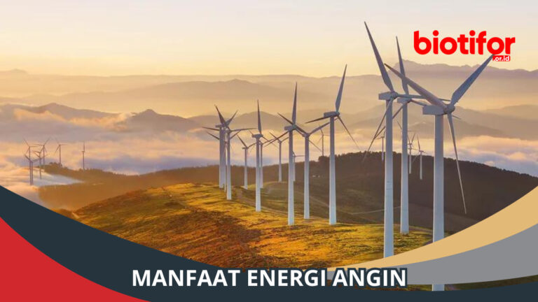 Manfaat Energi Angin: Sumber Daya Alam Ramah Lingkungan - Biotifor