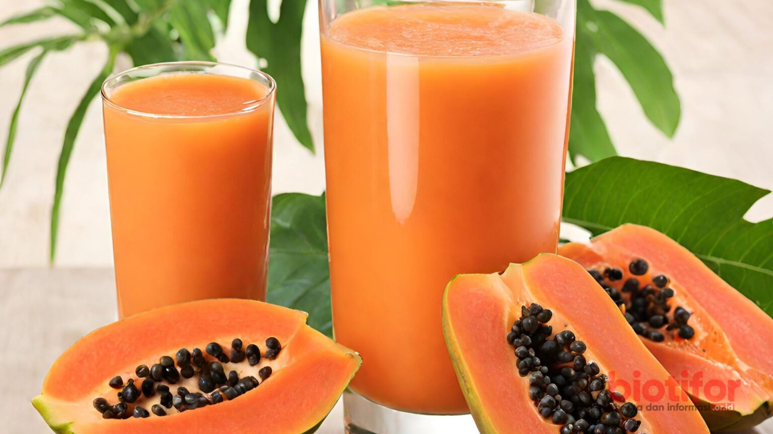 Manfaat Jus Pepaya: Khasiat Ajaib untuk Kesehatan Anda - Biotifor