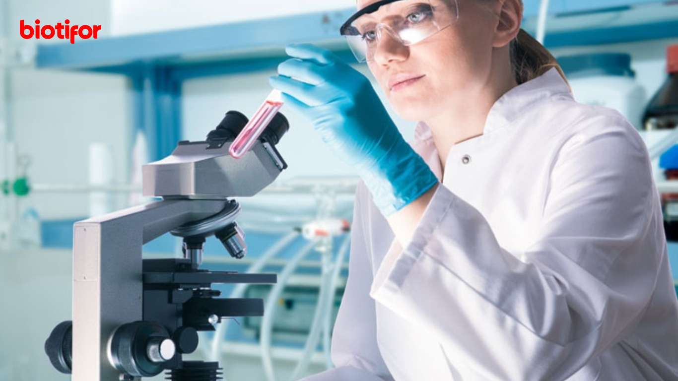 Manfaat Karya Ilmiah: Membuka Pengetahuan dan Kesuksesan - Biotifor