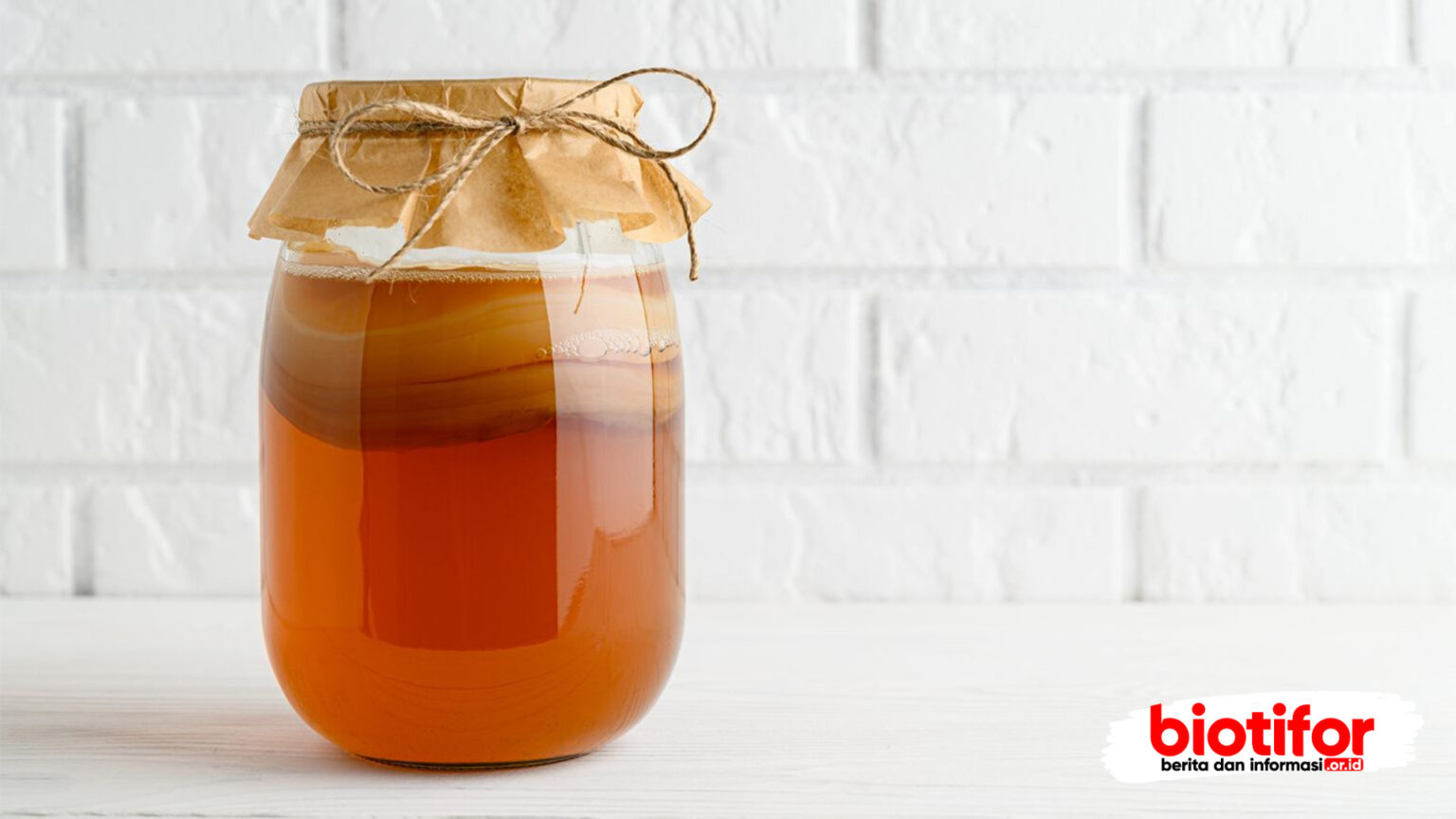 Manfaat Kombucha Untuk Kesehatan Tubuh - Biotifor