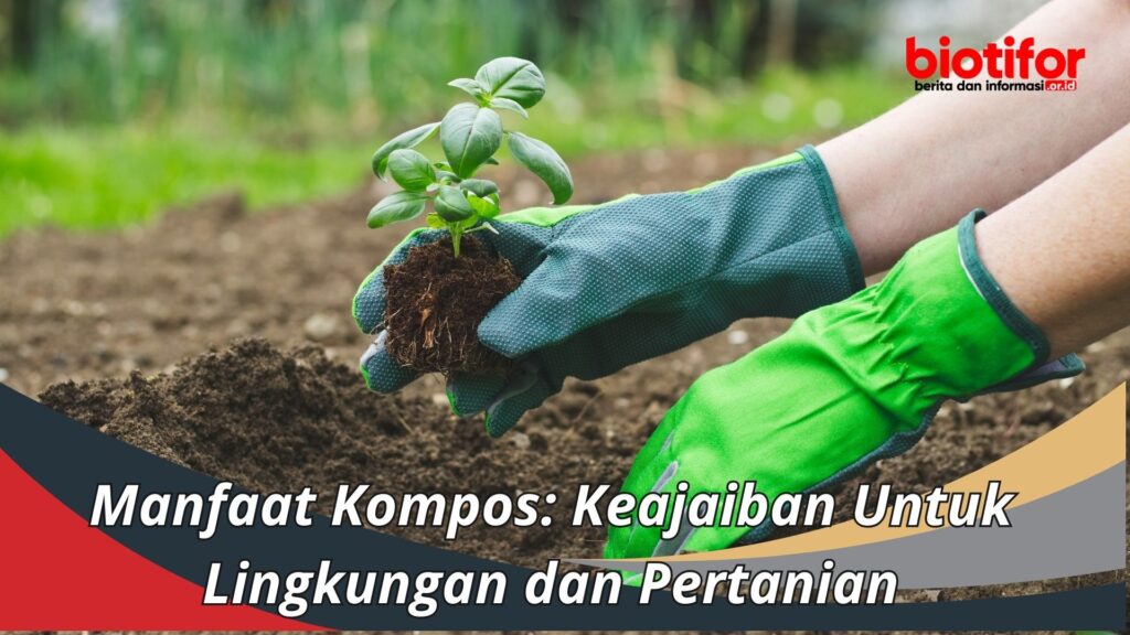 Manfaat Kompos: Keajaiban Untuk Lingkungan dan Pertanian - Biotifor