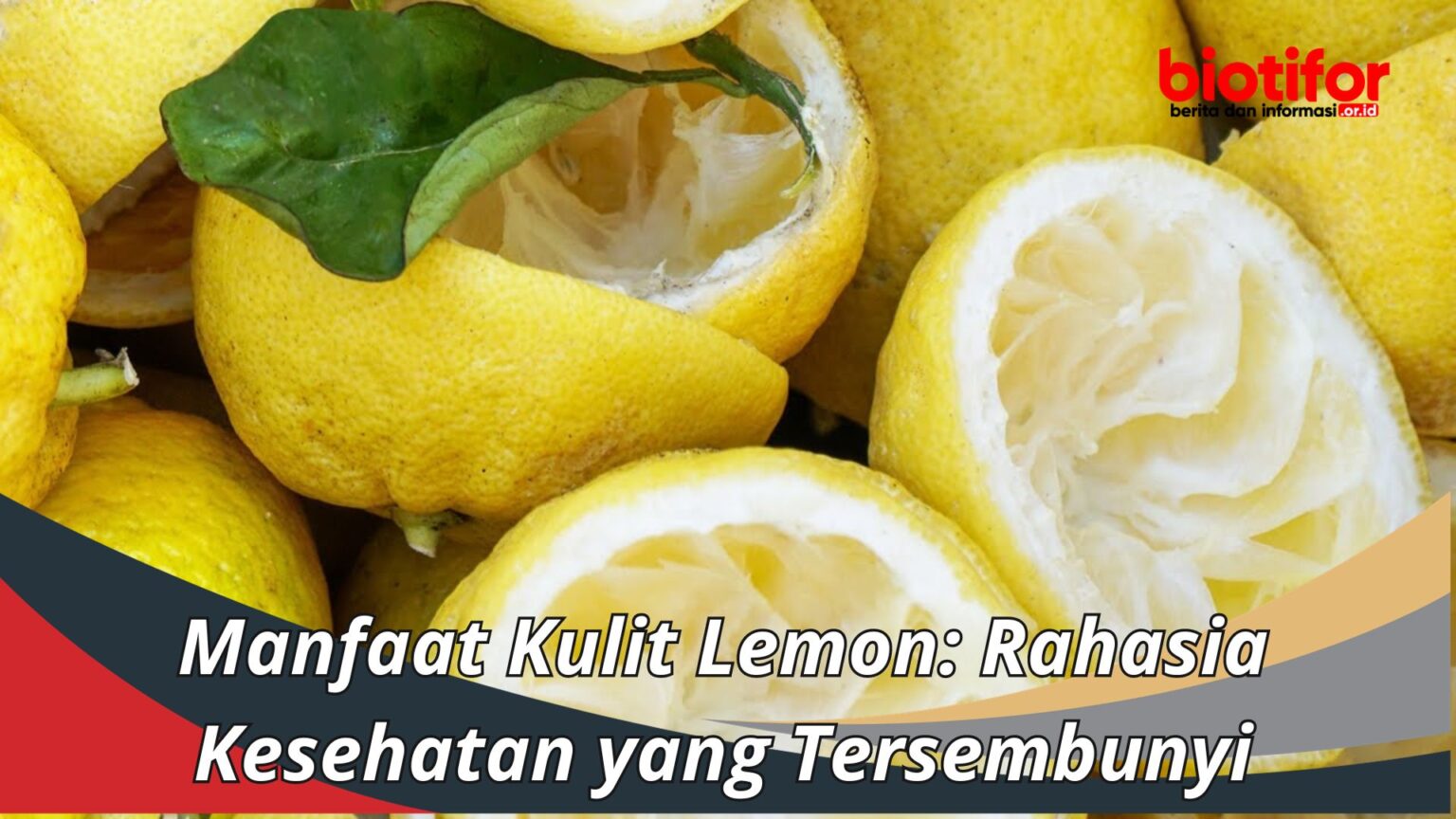 Manfaat Kulit Lemon: Rahasia Kesehatan yang Tersembunyi - Biotifor