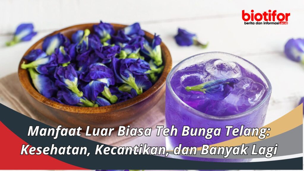 Manfaat Luar Biasa Teh Bunga Telang: Kesehatan, Kecantikan, dan Banyak Lagi