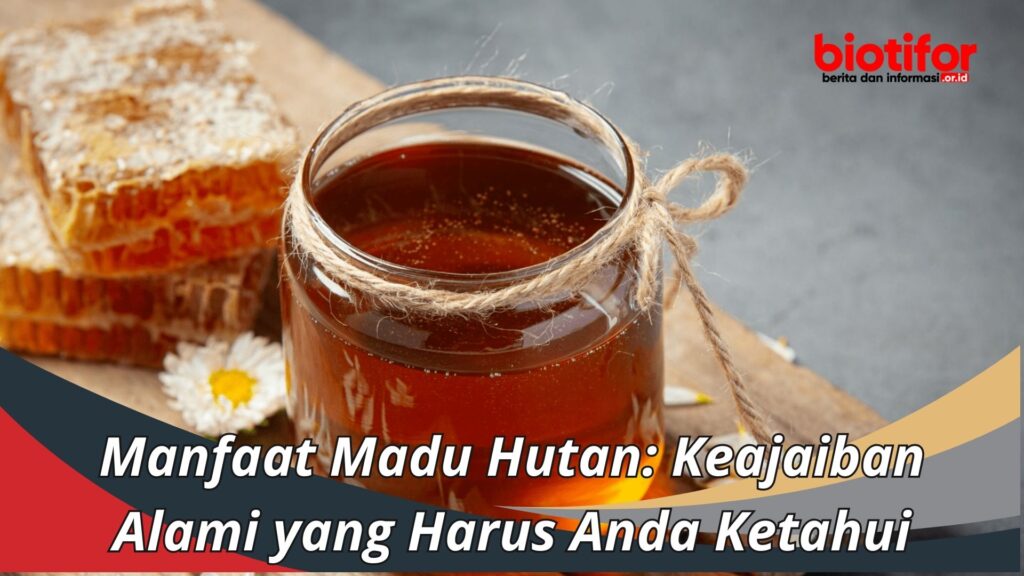 Manfaat Madu Hutan: Keajaiban Alami yang Harus Anda Ketahui - Biotifor