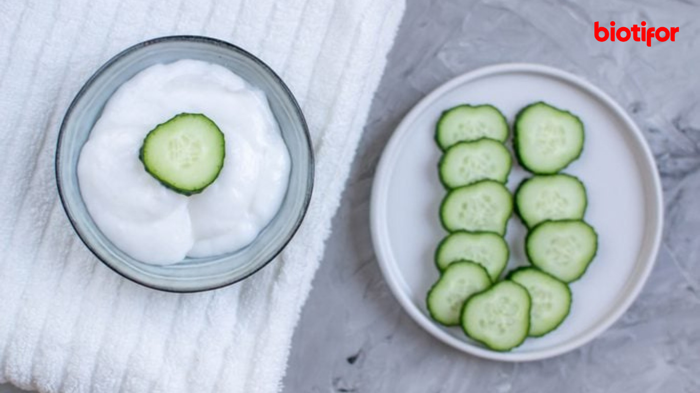 Manfaat Masker Timun Mendapatkan Kulit Cantik Alami Biotifor
