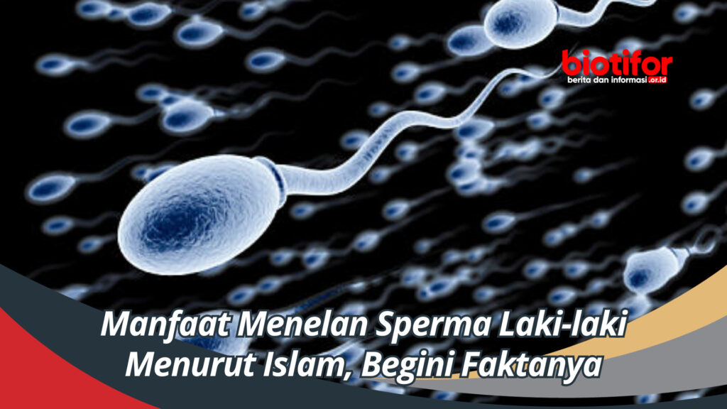 Manfaat Menelan Sperma Laki-laki Menurut Islam, Begini Faktanya - Biotifor