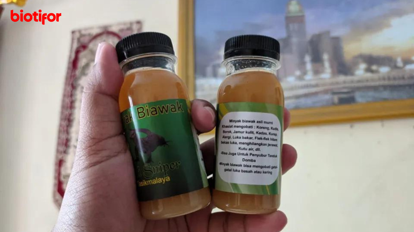 Manfaat Minyak Biawak, Khasiat dan Keunggulannya - Biotifor Manfaat Minyak Biawak, Khasiat dan Keunggulannya - Biotifor