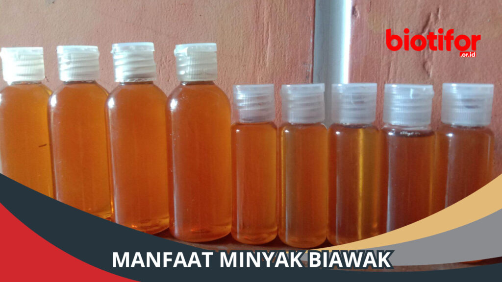 Manfaat Minyak Biawak, Khasiat dan Keunggulannya - Biotifor Manfaat Minyak Biawak, Khasiat dan Keunggulannya - Biotifor
