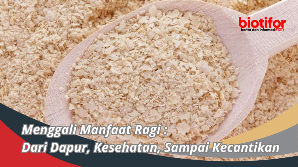 Manfaat Ragi : Dari Dapur, Kesehatan, Sampai Kecantikan