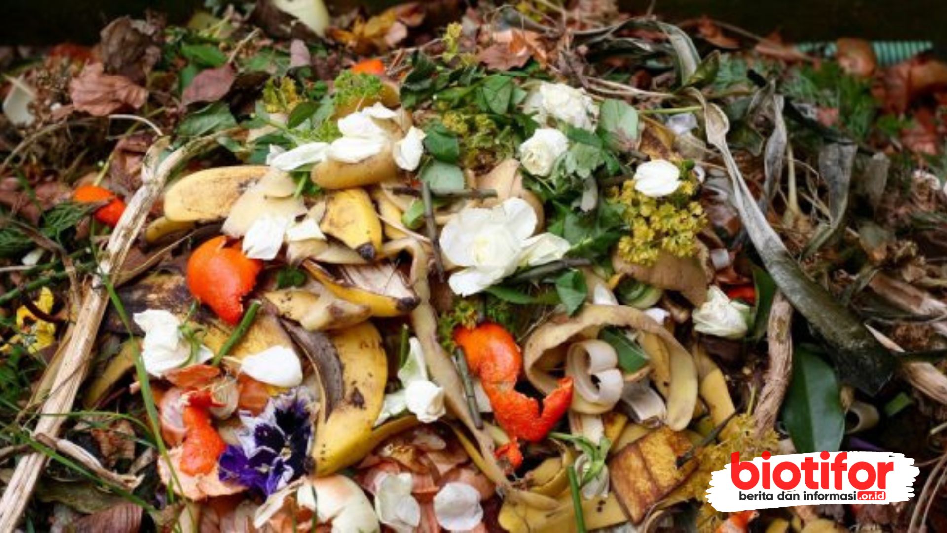 Manfaat Sampah Organik: Solusi Lingkungan Hidup Berkelanjutan