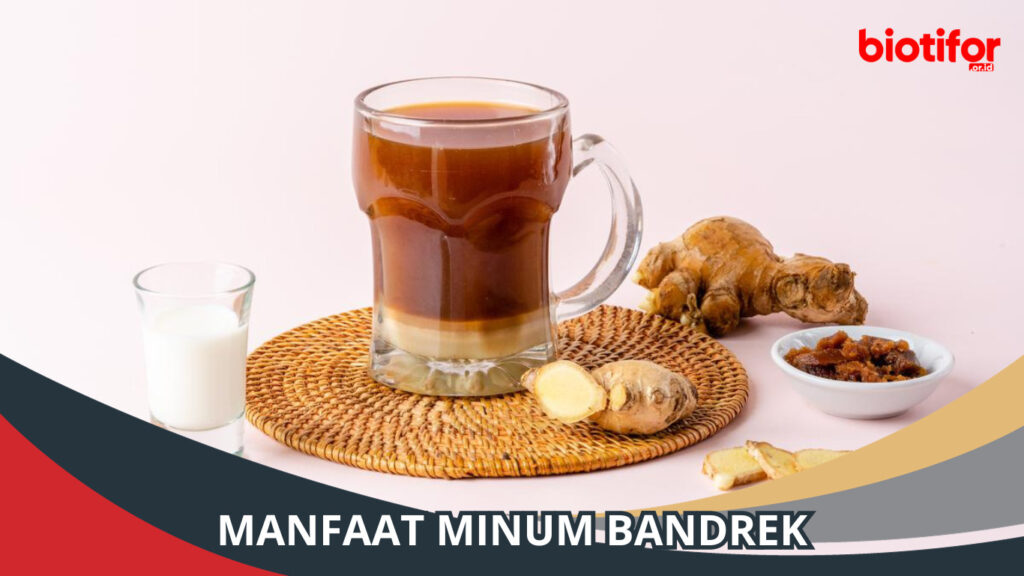 Manfaat Bandrek: Minuman Hangat yang Kaya Manfaat - Biotifor