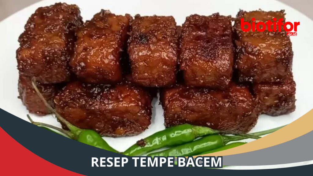 Resep Tempe Bacem: Cara Mudah Memasak Tempe Manis Gurih - Biotifor