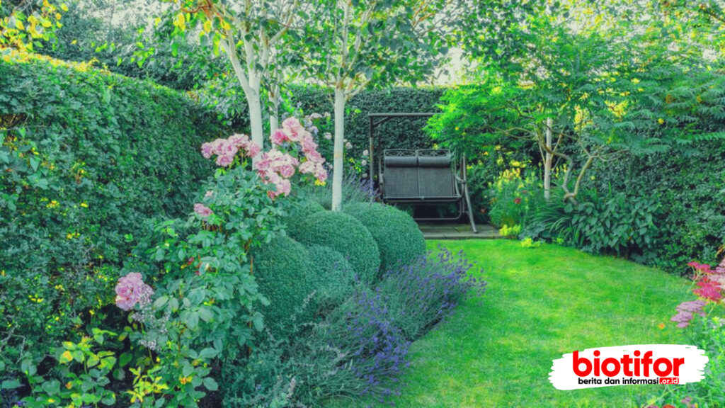 Jenis- Jenis Tanaman Perdu , Cara Perawatan Dan Ide Taman