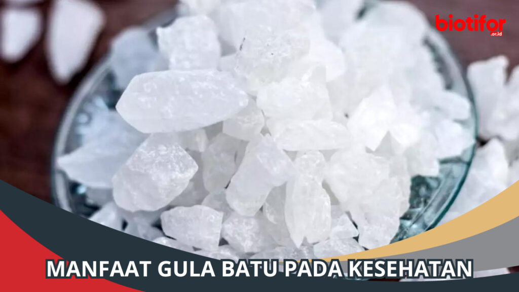 Manfaat Gula Batu: Khasiat dan Penggunaan yang Luar Biasa - Biotifor