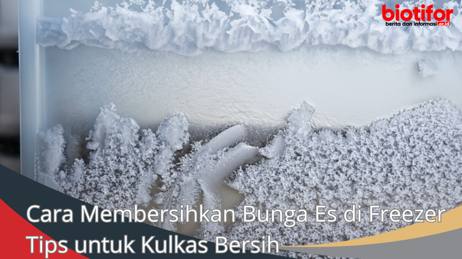 Cara Membersihkan Bunga Es di Freezer Tips untuk Kulkas Bersih