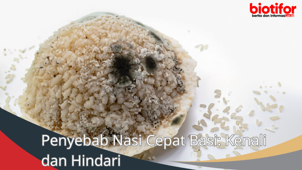 Penyebab Nasi Cepat Basi: Kenali dan Hindari