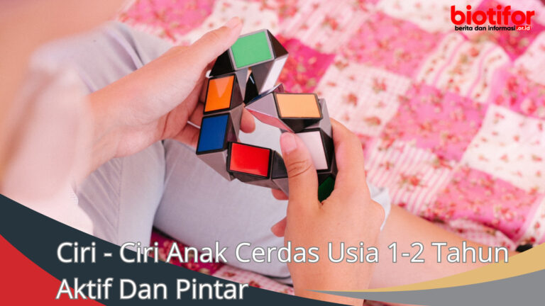 Ciri - Ciri Anak Cerdas Usia 1-2 Tahun Aktif Dan Pintar