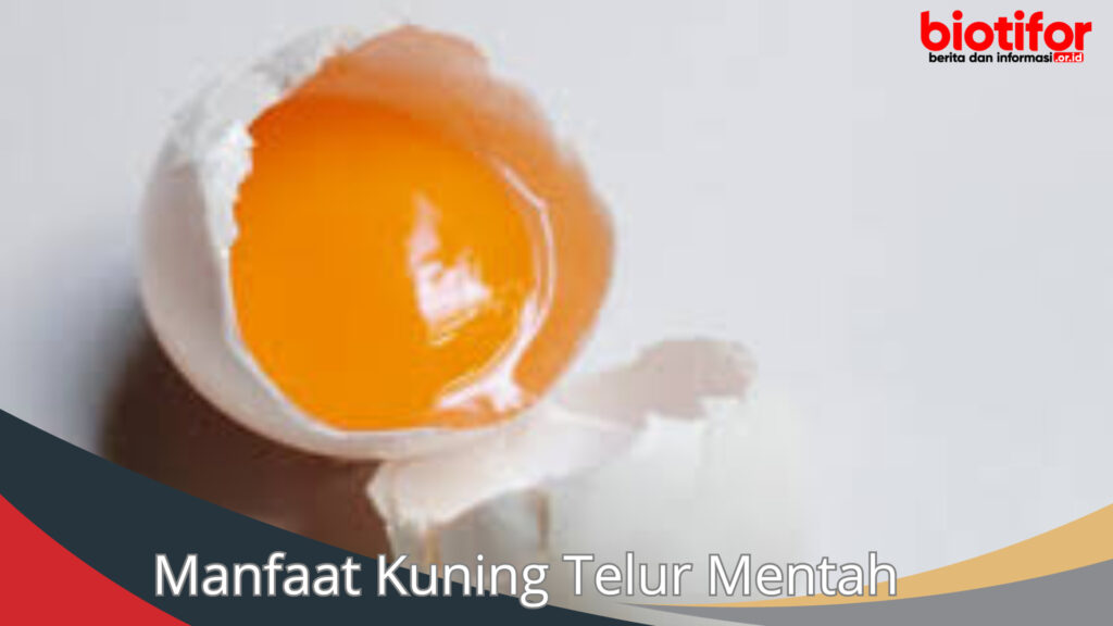 Inilah Rahasia Untuk Tingkatkan Stamina Manfaat Kuning Telur Mentah ... Inilah Rahasia Untuk Tingkatkan Stamina Manfaat Kuning Telur Mentah ...