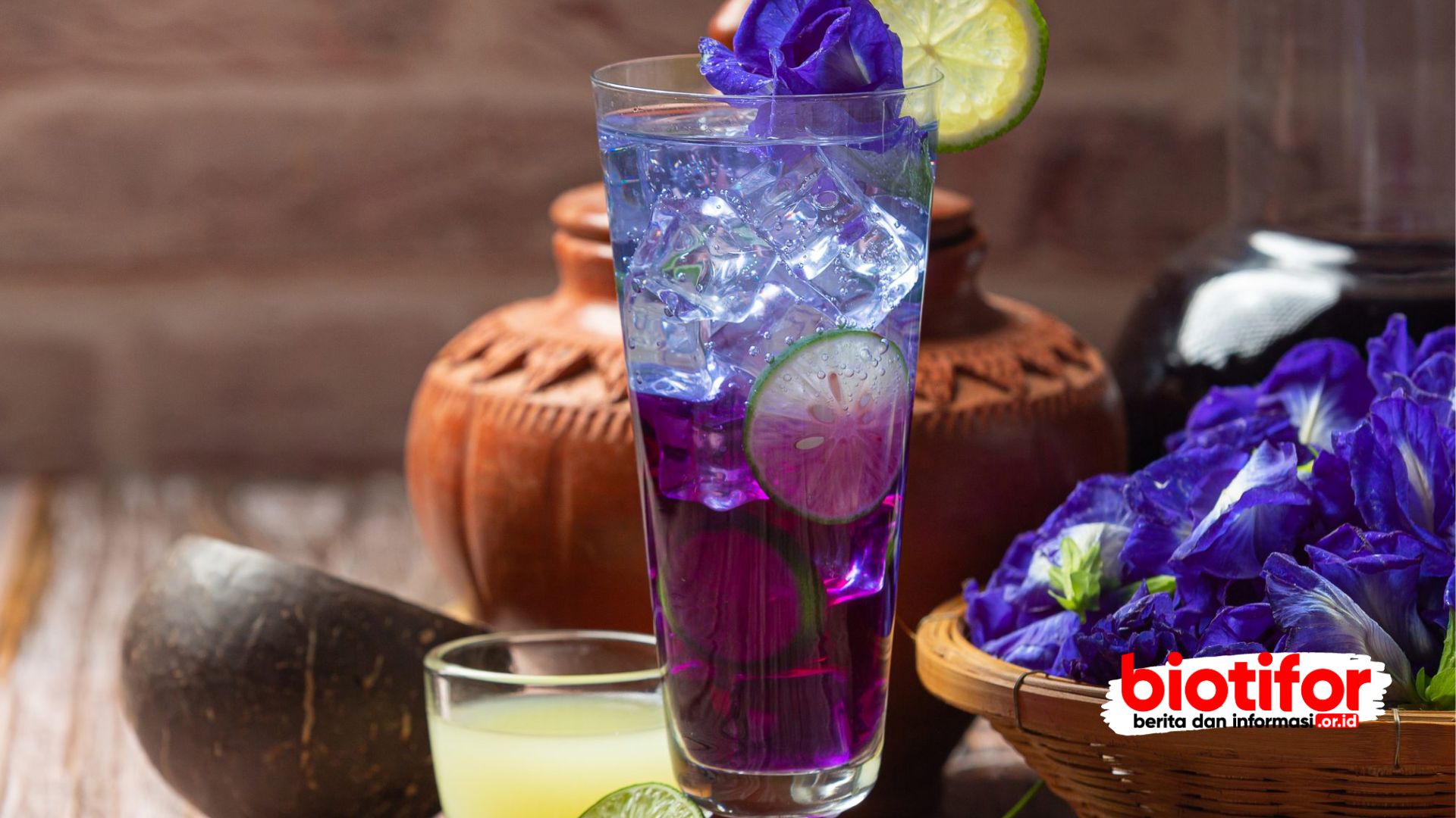 Manfaat Luar Biasa Teh Bunga Telang: Kesehatan, Kecantikan, dan Banyak Lagi