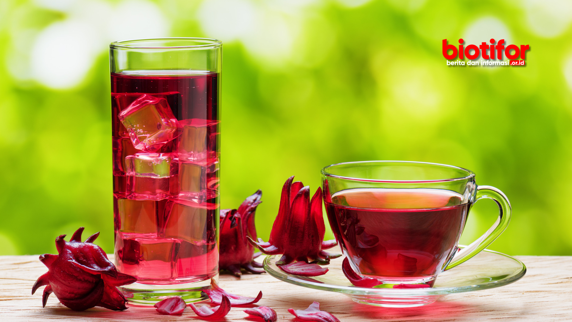 Manfaat Teh Rosella: Satu Cangkir Penuh Ajaib - Biotifor