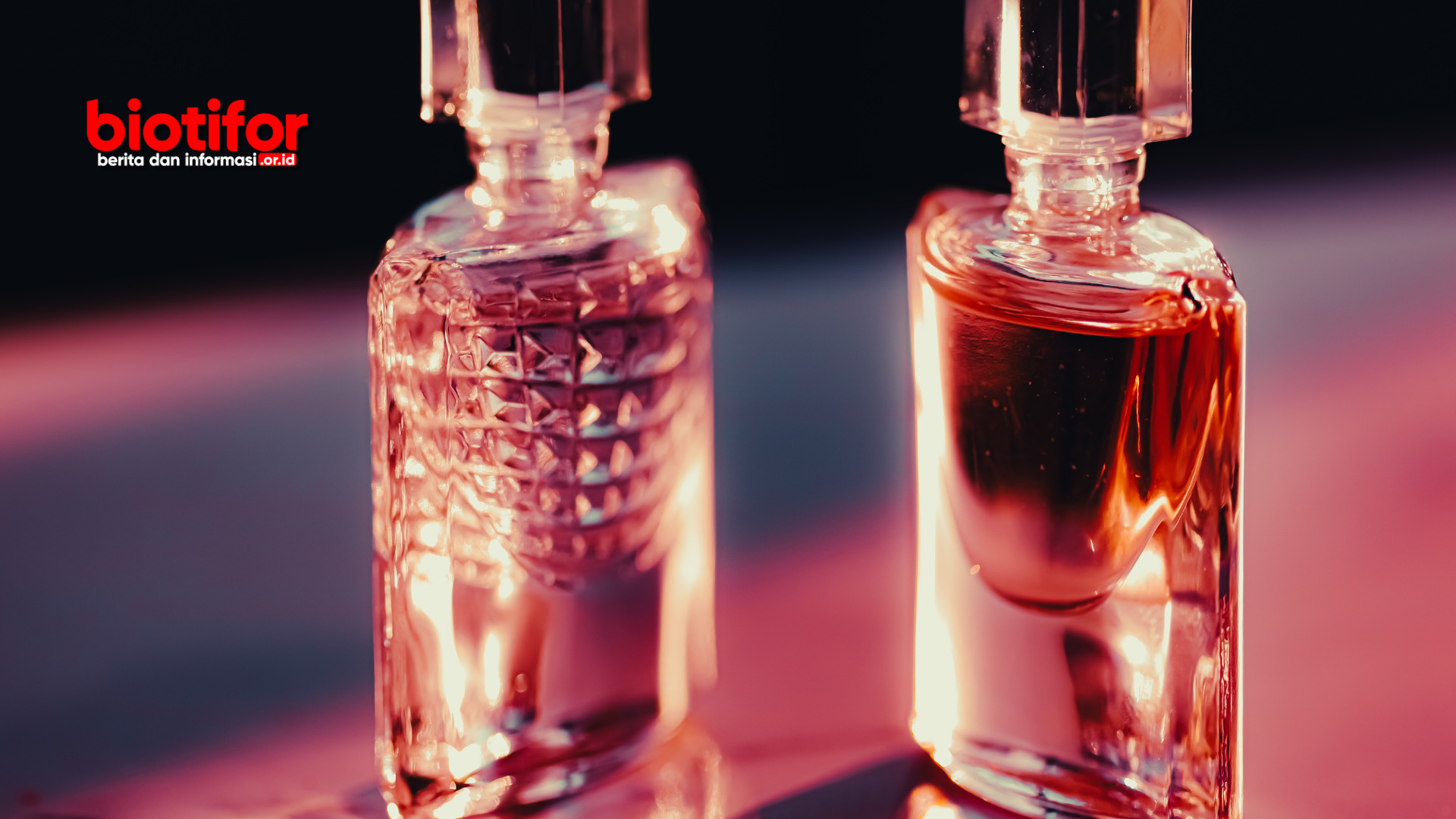 10 Rekomendasi Parfum Lokal Terbaik yang Wanginya Tahan Lama - Biotifor