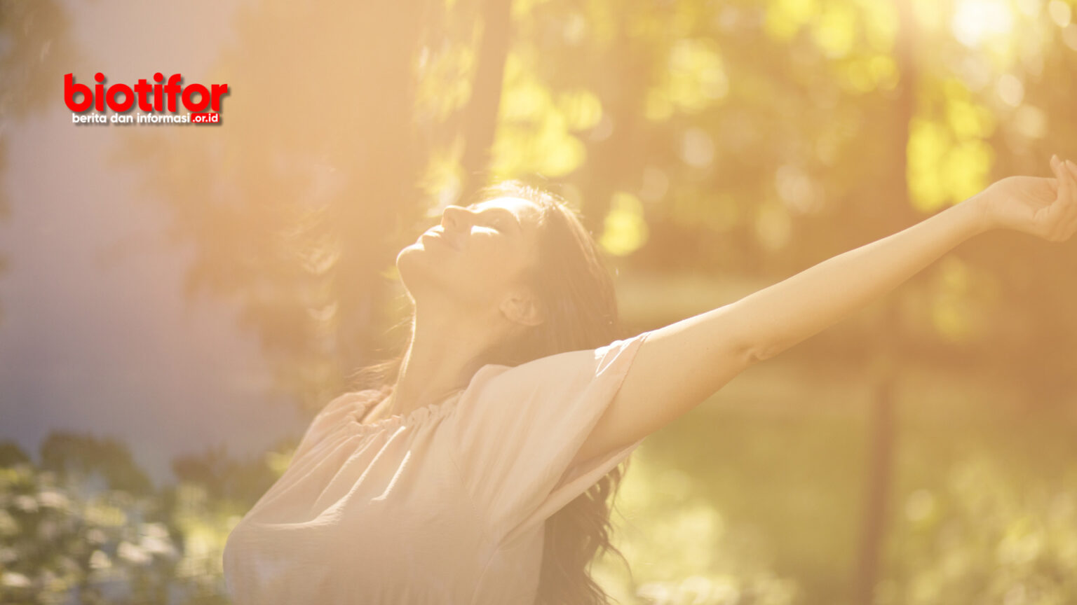 Apa itu Healing? Pengertian, Manfaat dan Memahami Konsep Penyembuhan ...