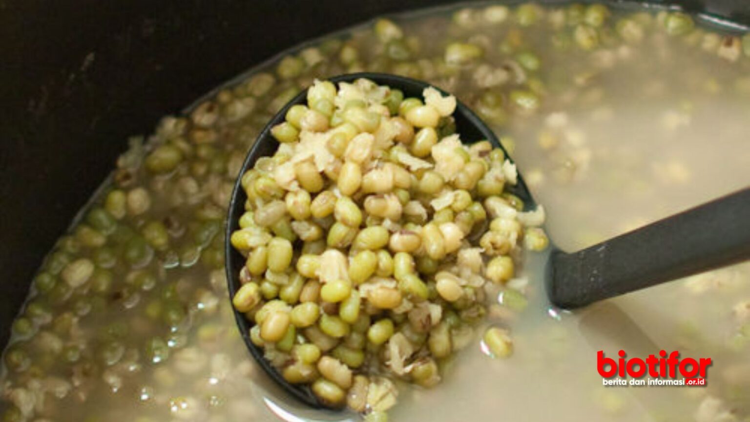 Manfaat Air Rebusan Kacang Hijau: Keajaiban untuk Kesehatan Anda