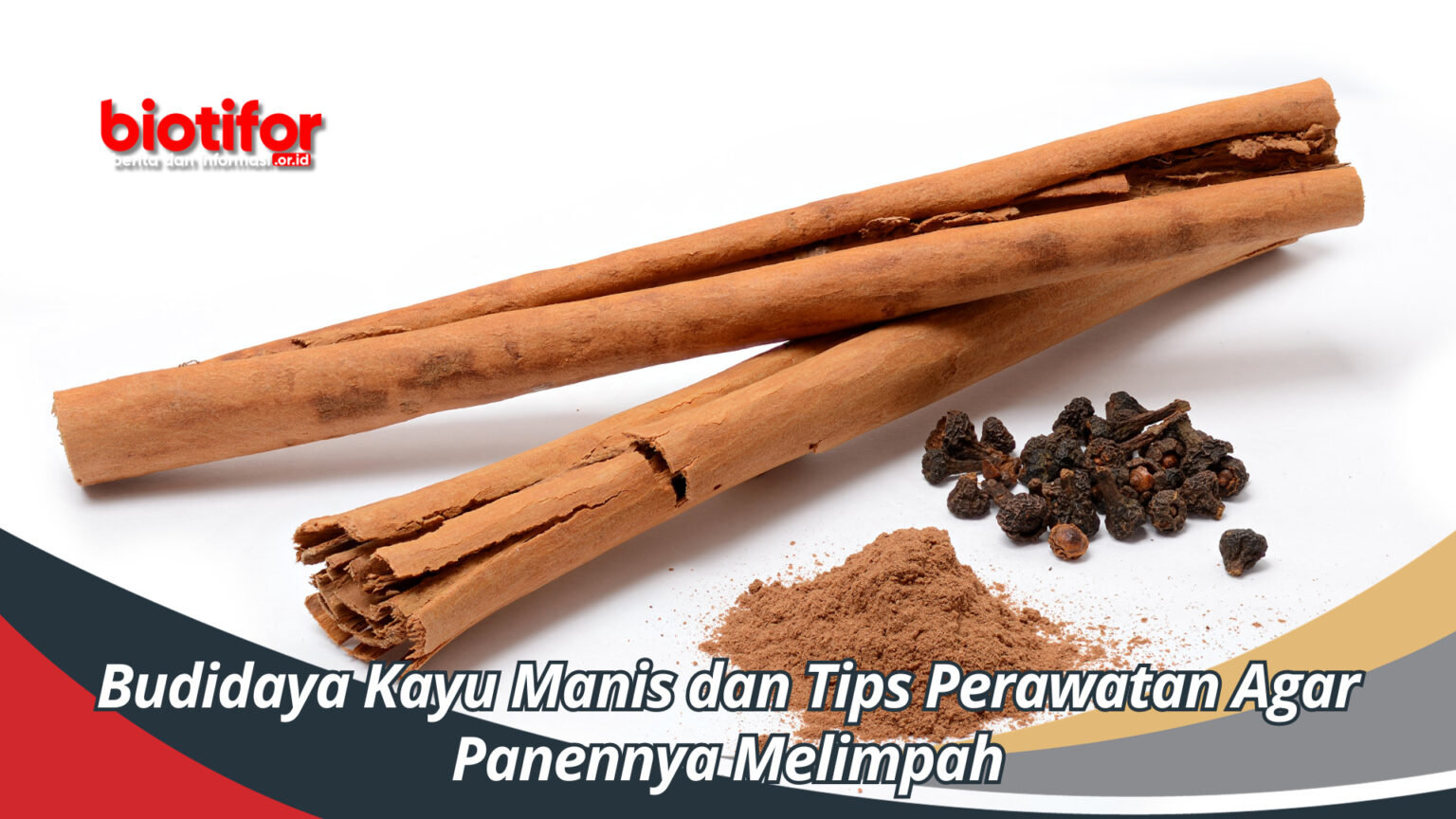 Budidaya Kayu Manis dan Tips Perawatan Agar Panennya Melimpah - Biotifor