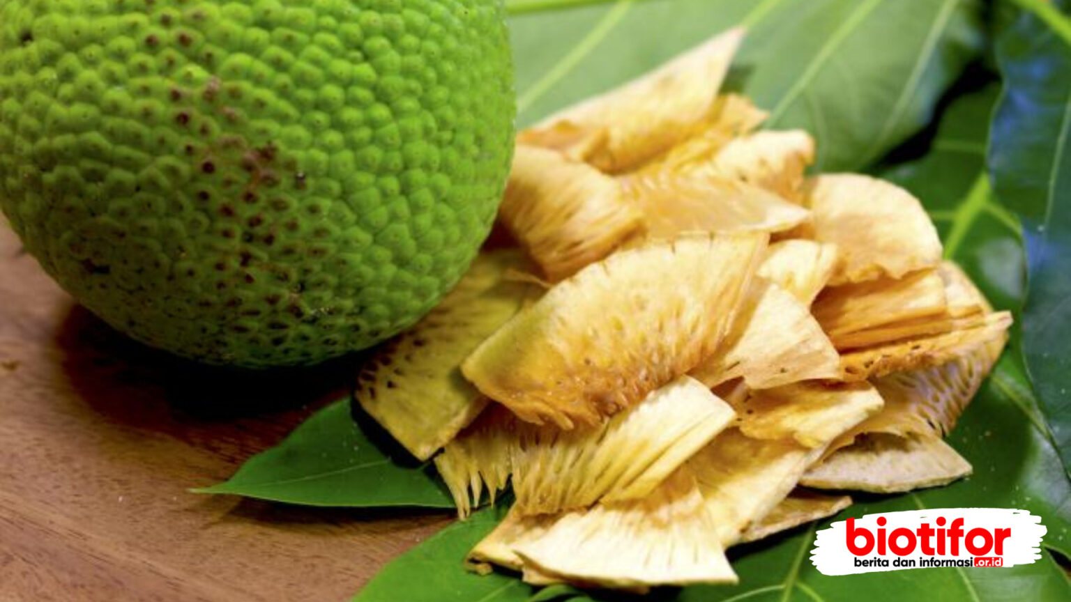 Cara Membuat Keripik Sukun , Pasti Jadi Favorit Keluarga! - Biotifor