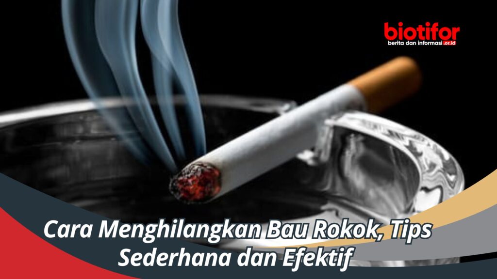 Cara Menghilangkan Bau Rokok, Tips Sederhana dan Efektif - Biotifor
