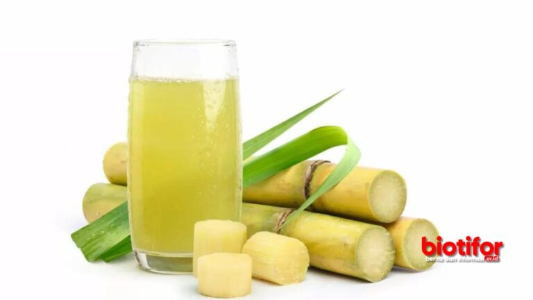 Manfaat Es Tebu, Nikmati Kesejukan Alami dan Kesegaran Dari Minuman ...