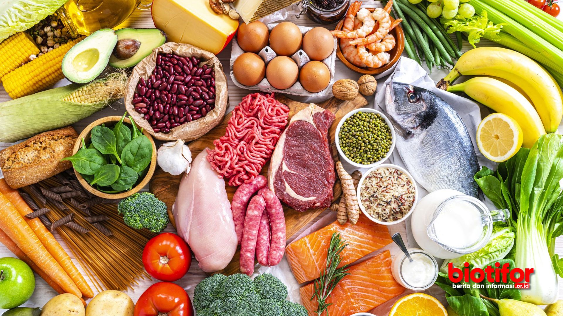 Makanan yang Mengandung Protein: Rahasia Nutrisi yang Membangun Tubuh