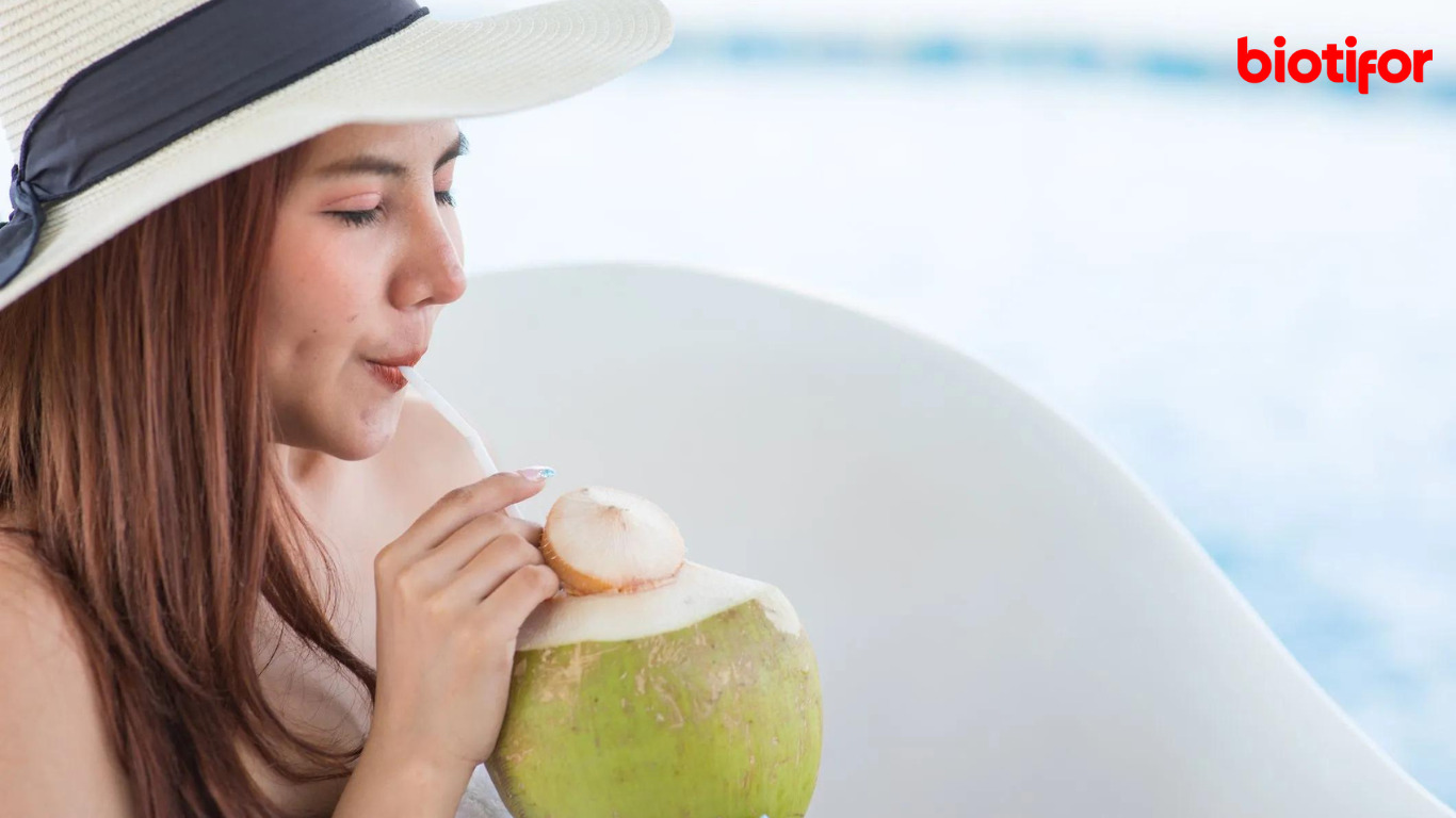 Manfaat Air Kelapa untuk Ibu Hamil, Bisa Mengatasi Mual! - Biotifor