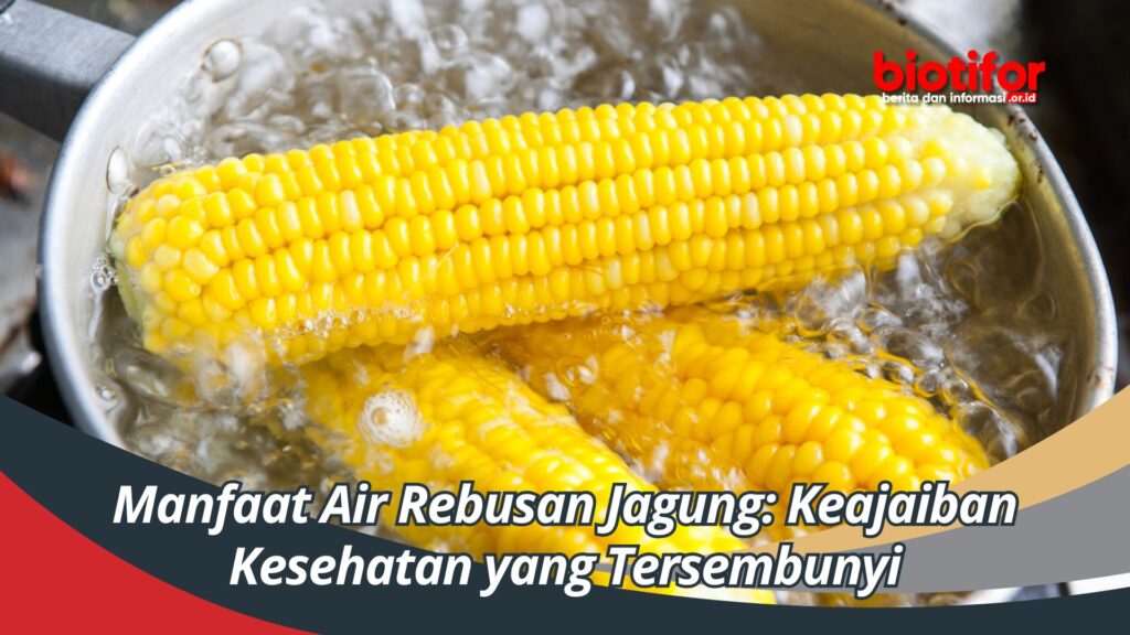 Manfaat Air Rebusan Jagung: Keajaiban Kesehatan yang Tersembunyi