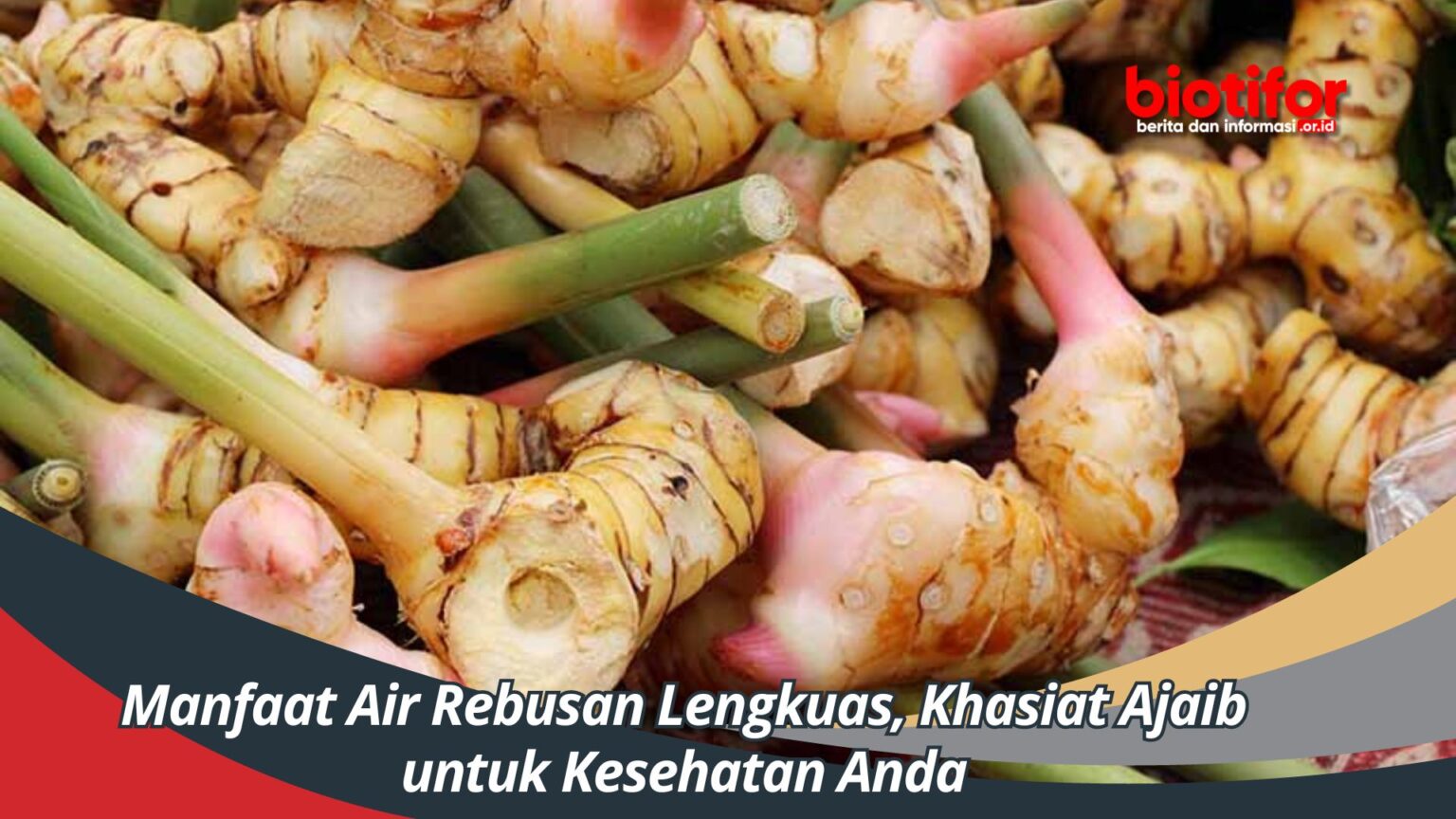 Manfaat Air Rebusan Lengkuas, Khasiat Ajaib untuk Kesehatan Anda