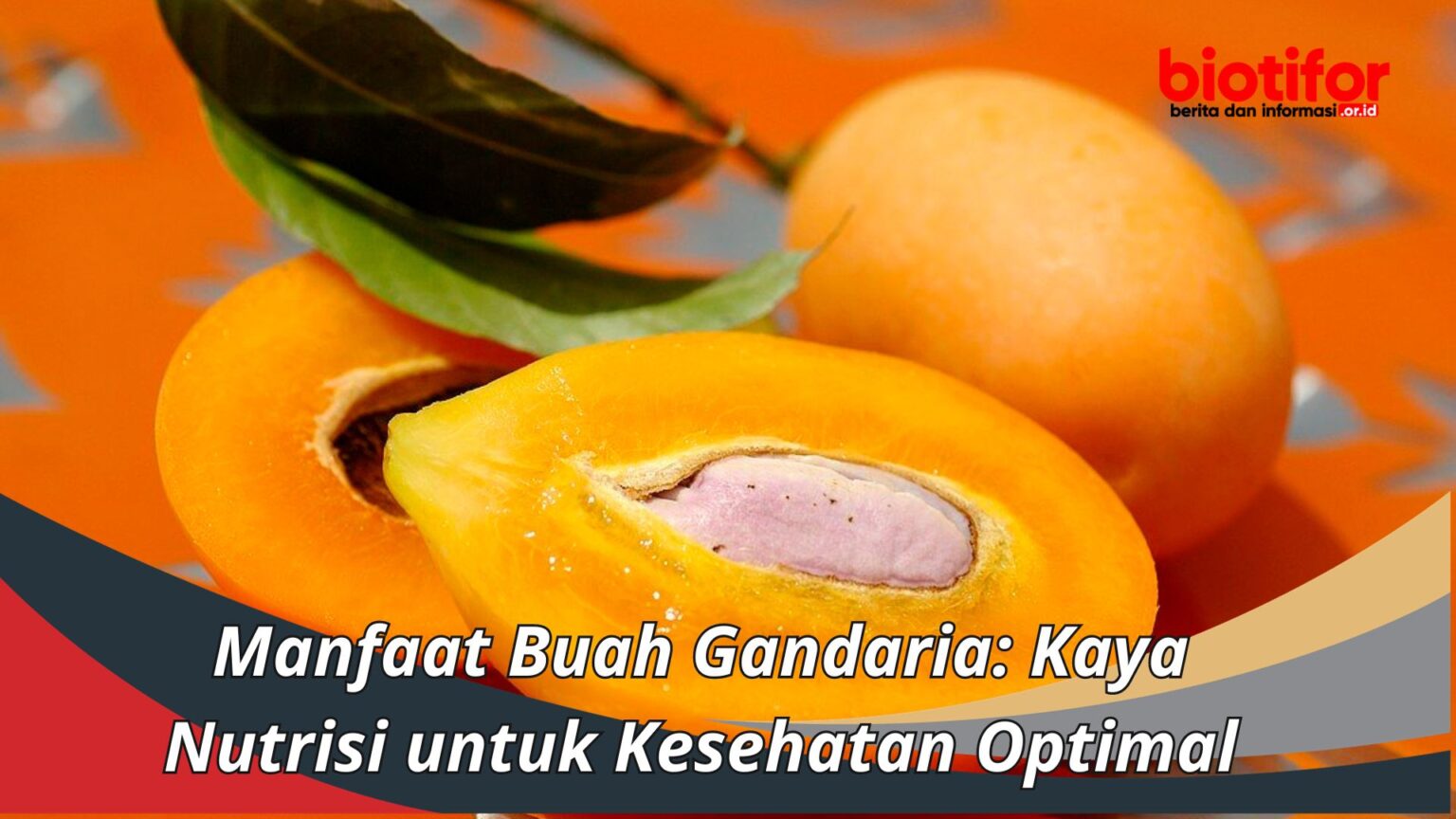 Temukan Manfaat Buah Pace Wajib Anda Tahu - Biotifor