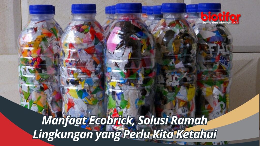 Manfaat Ecobrick, Solusi Ramah Lingkungan yang Perlu Kita Ketahui