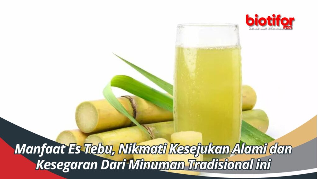 Manfaat Es Tebu, Nikmati Kesejukan Alami dan Kesegaran Dari Minuman ...