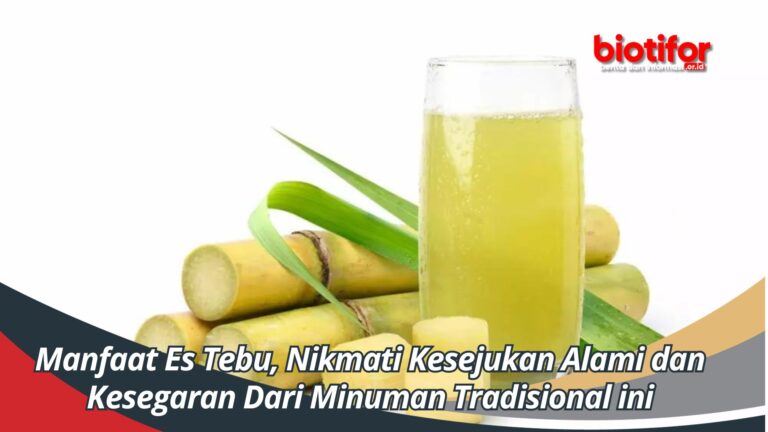 Manfaat Es Tebu, Nikmati Kesejukan Alami dan Kesegaran Dari Minuman ...