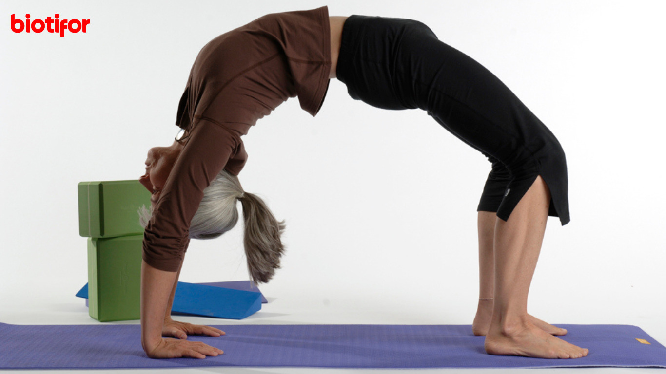 Manfaat Gerakan Kayang untuk kesehatan Mental dan Fisik - Biotifor