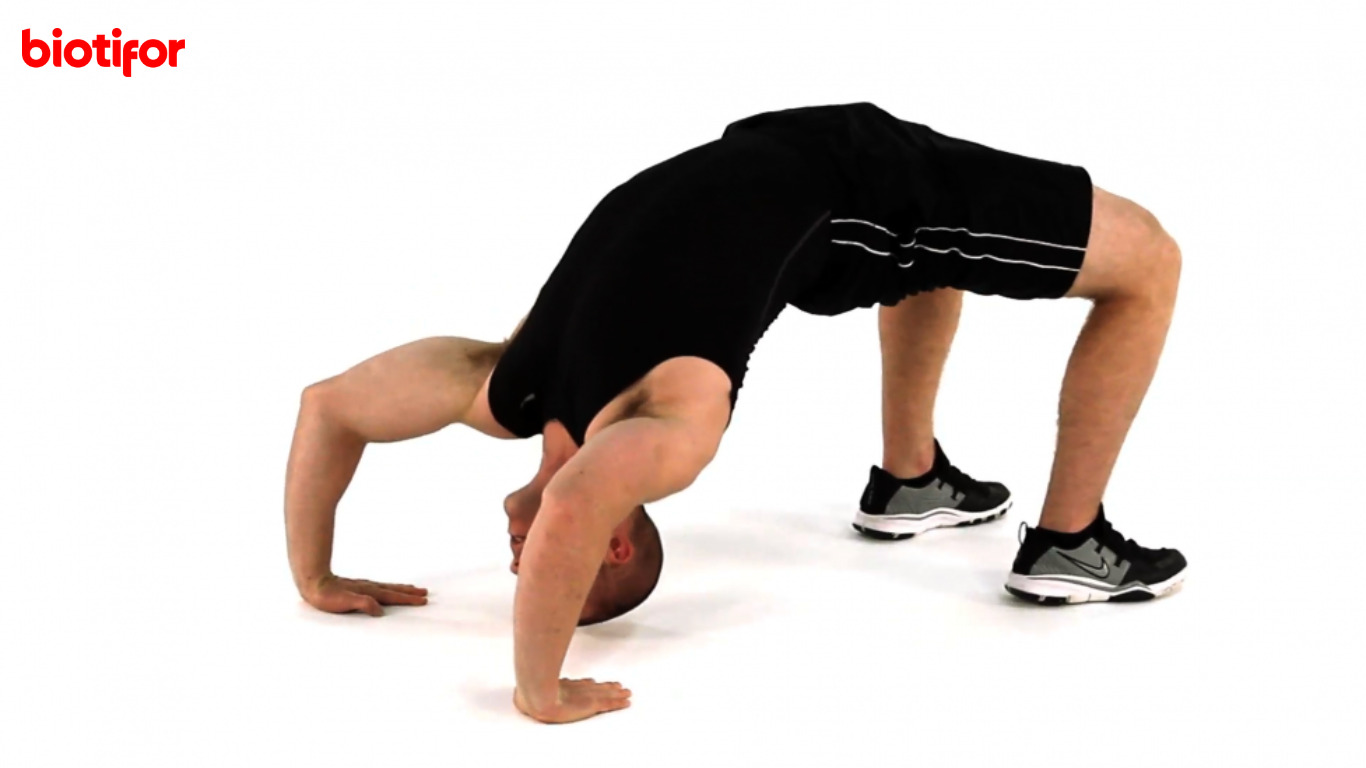 Manfaat Gerakan Kayang untuk kesehatan Mental dan Fisik - Biotifor