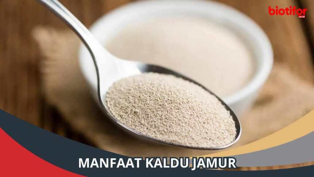 Manfaat Kaldu Jamur: Keajaiban Kesehatan di Setiap Sendokan - Biotifor