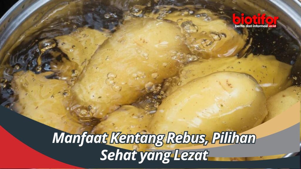 Manfaat Kentang Rebus, Pilihan Sehat yang Lezat - Biotifor