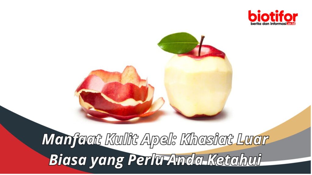 Manfaat Kulit Apel: Khasiat Luar Biasa yang Perlu Anda Ketahui - Biotifor