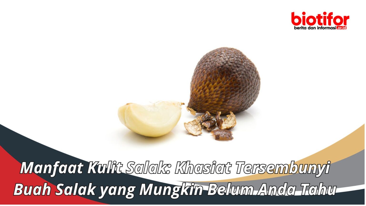 Manfaat Kulit Salak: Khasiat Tersembunyi Buah Salak yang Mungkin Belum Anda Tahu