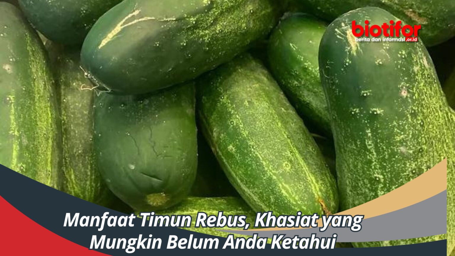 Manfaat Timun Rebus, Khasiat yang Mungkin Belum Anda Ketahui - Biotifor
