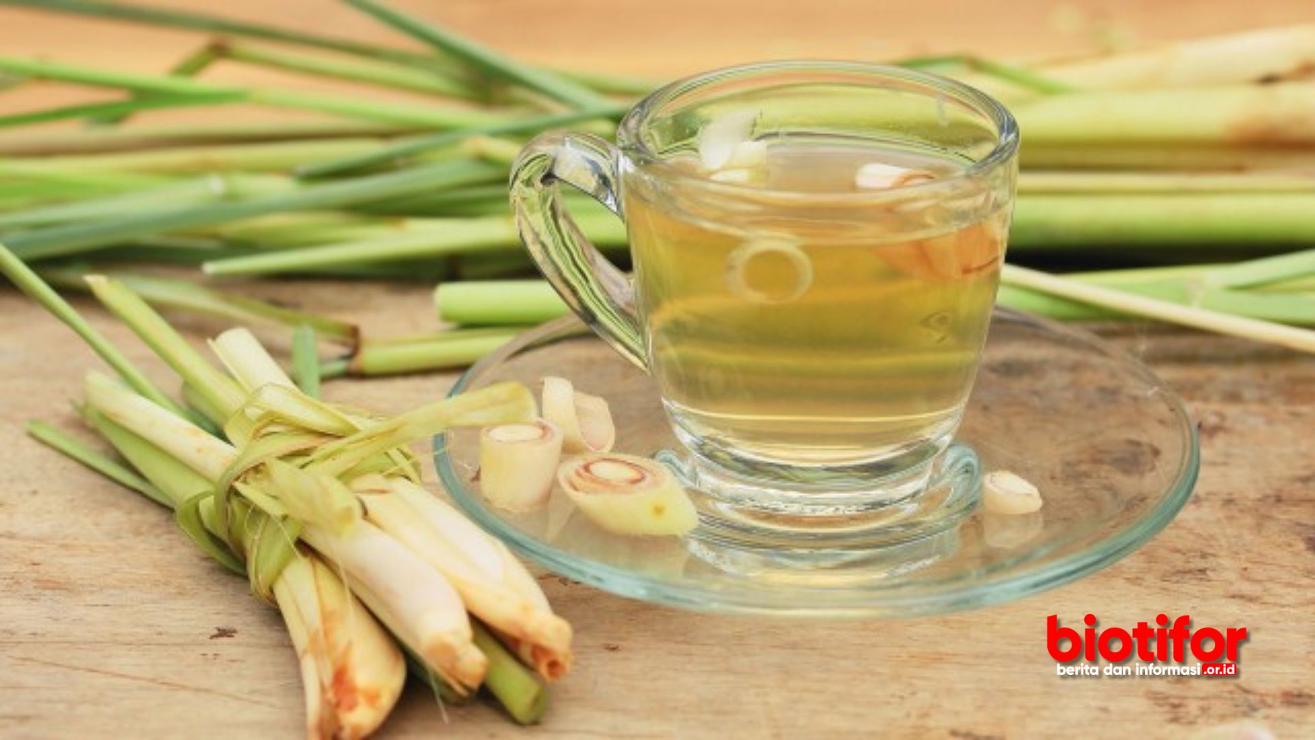Manfaat Rebusan Batang Serai, Khasiat Luar Biasa dari Ramuan Tradisional