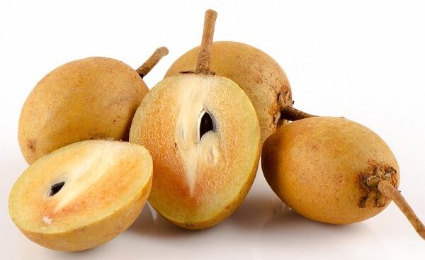 Manfaat Sawo Manila: Buah Penuh Manfaat yang Wajib Anda Coba - Biotifor